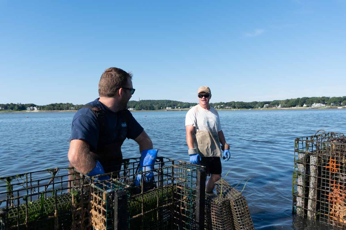 Team | Pangea Shellfish Company