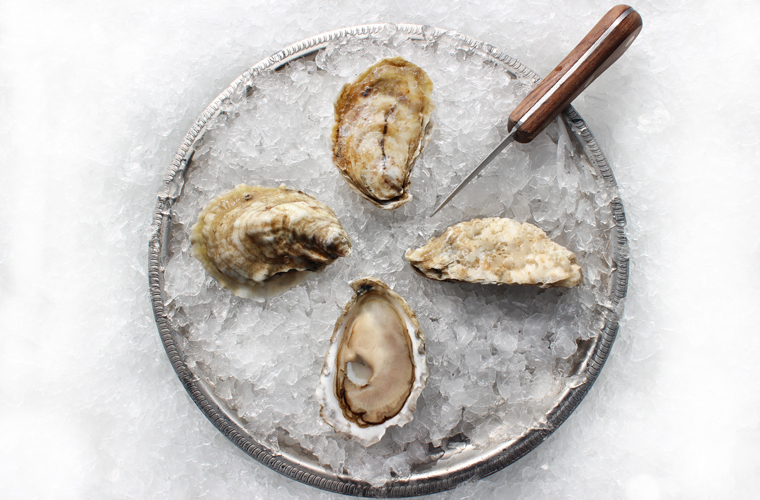 Beach Plum Oyster — Oysterology Online | Pangea Shellfish Company