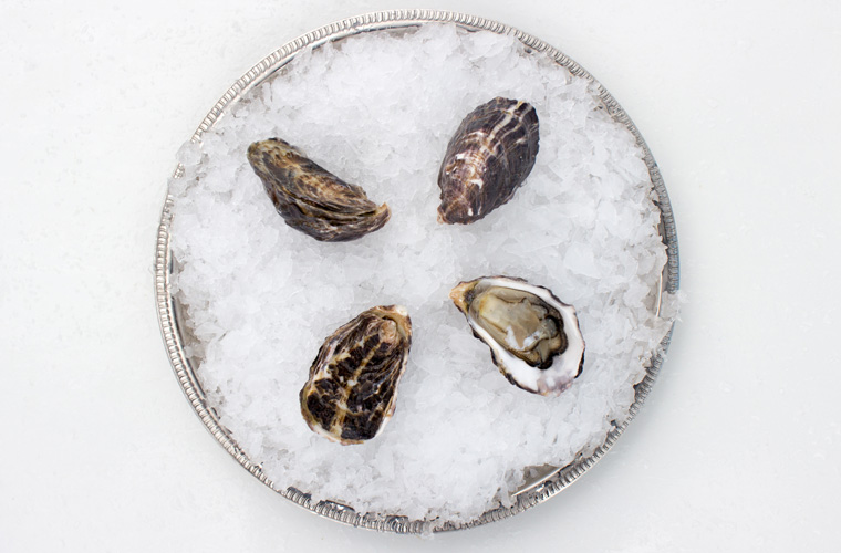 Chelsea Gem Oyster — Oysterology Online | Pangea Shellfish Company