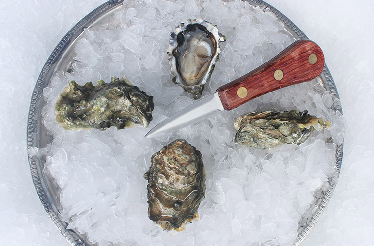 Miyagi Oyster — Oysterology Online | Pangea Shellfish Company