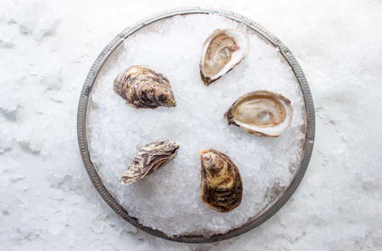 Pink Moon Oyster — Oysterology Online | Pangea Shellfish Company