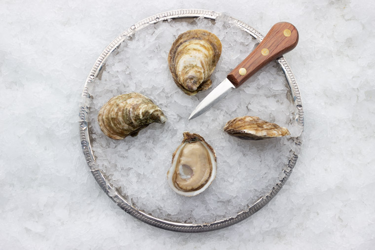 Raspberry Point Oyster — Oysterology Online | Pangea Shellfish Company