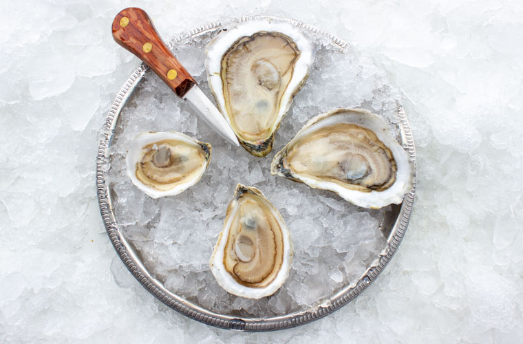 Pemaquid Oyster — Oysterology Online | Pangea Shellfish Company