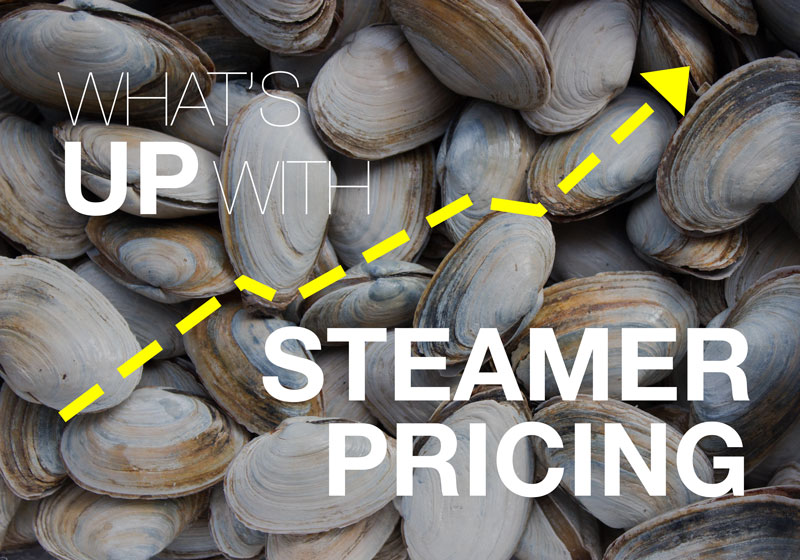 Why were steamer clams so expensive this summer? | Pangea Shellfish Company