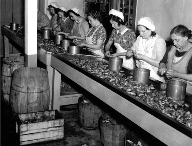 The Underappreciated Atlantic Surf Clam | Pangea Shellfish Company