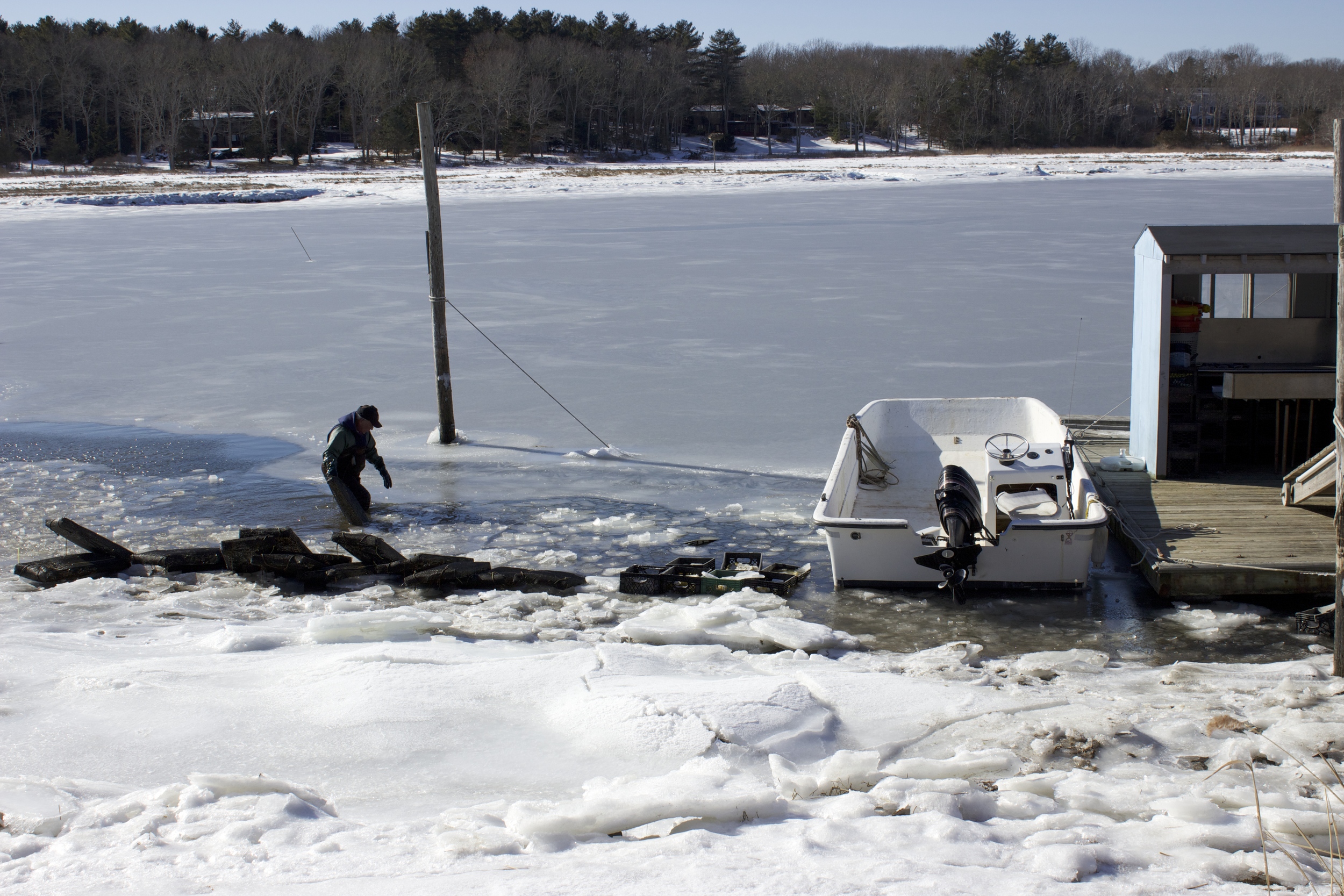 What "NA-ICE" Really Means: Harvesting Shellfish In Winter | Pangea ...