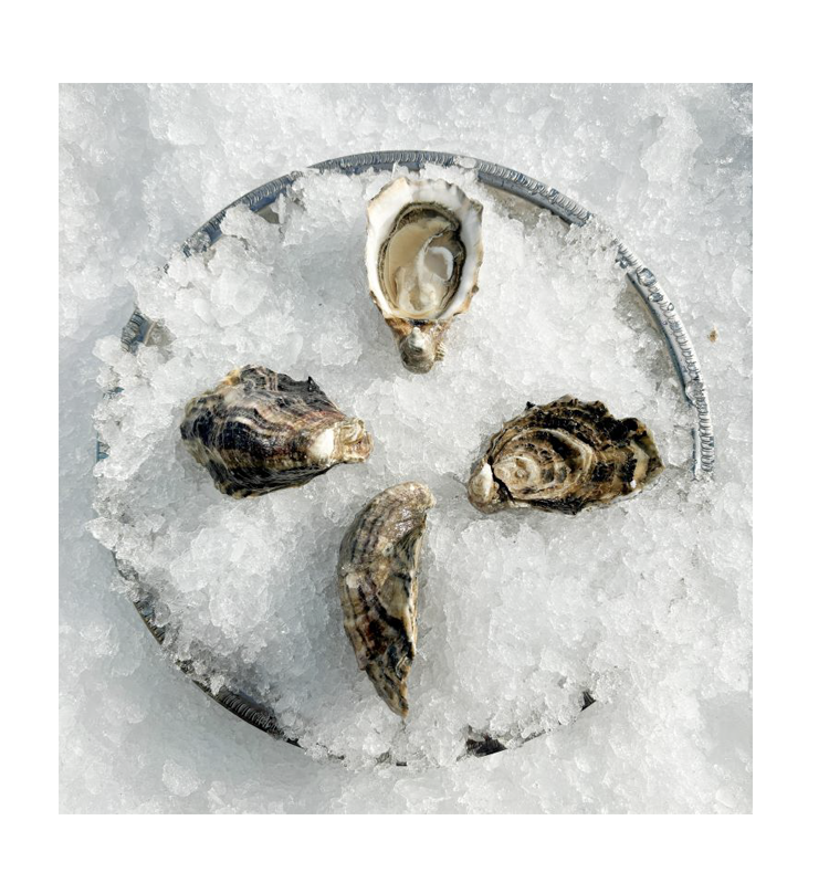 Baywater Sweet — Oysterology Online | Pangea Shellfish Company