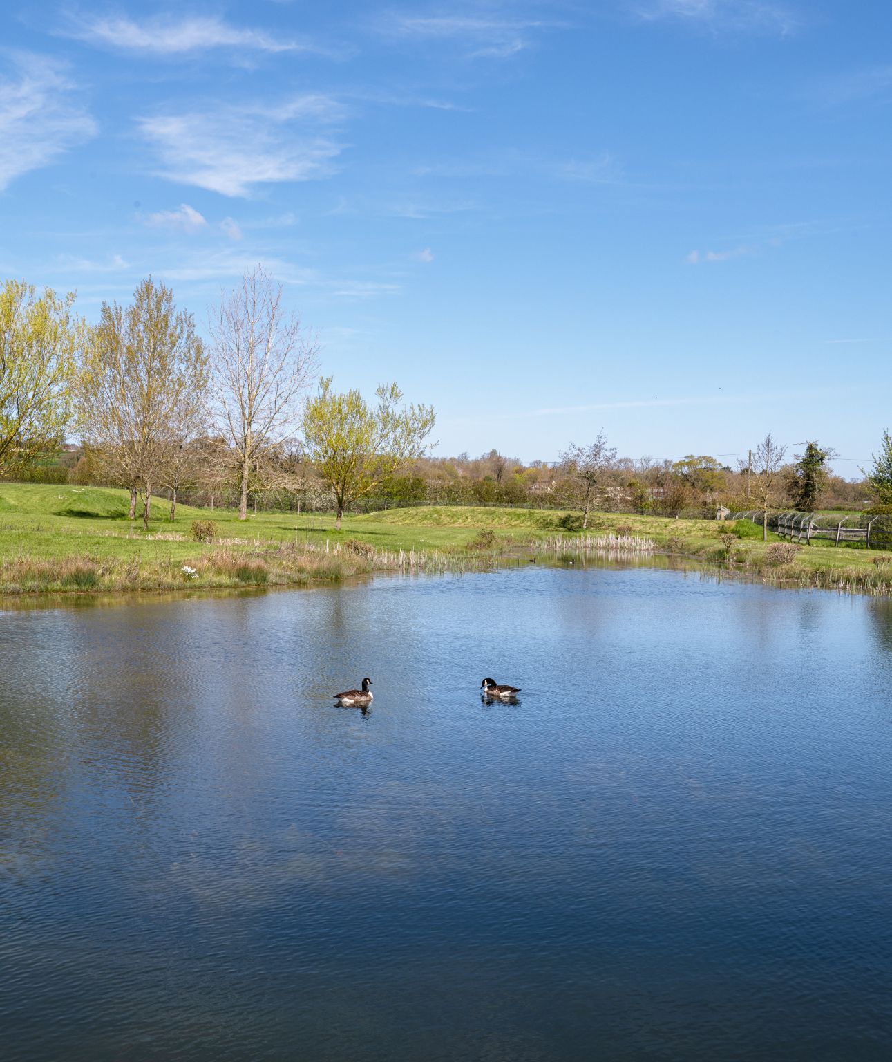 TCHD | Grove Farm House
