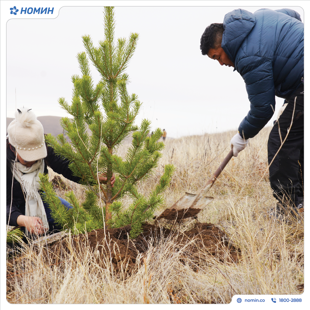 Nomin Holding - Номин Холдинг ХХК МОД ТАРИХ ӨДӨРТ нэгдлээ