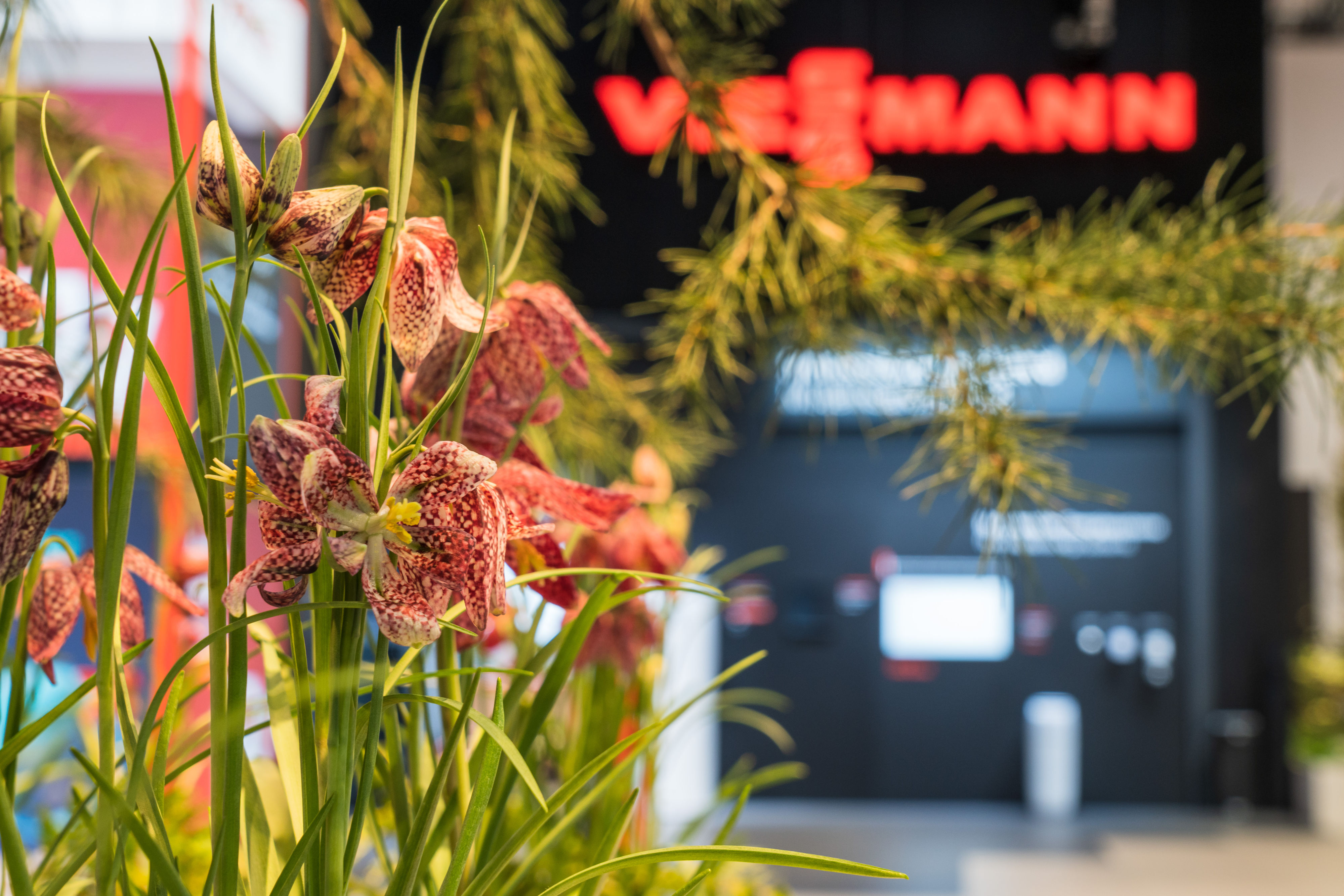 VIESSMANN AUF DER ISH 2023