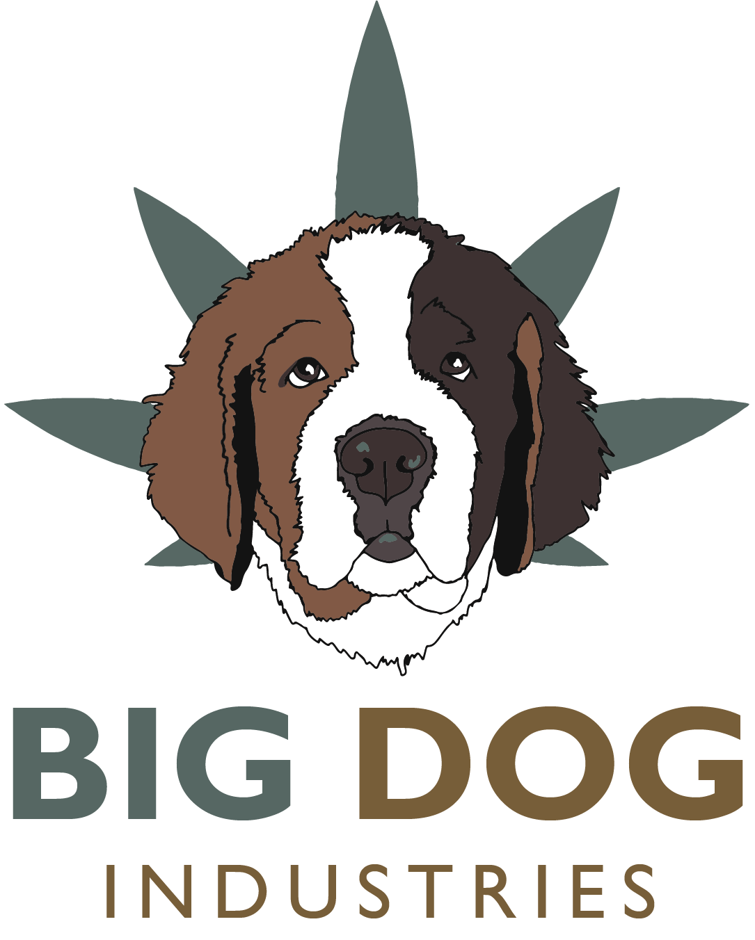 Creative Duke - Drone Services | Design & Web Design | Brand Strategy ...