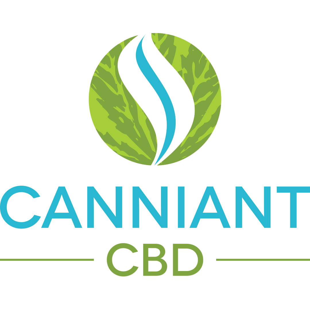 Creative Duke - Drone Services | Design & Web Design | Brand Strategy ...