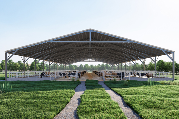 Dairy Sheds | Dairy Shed Range Online