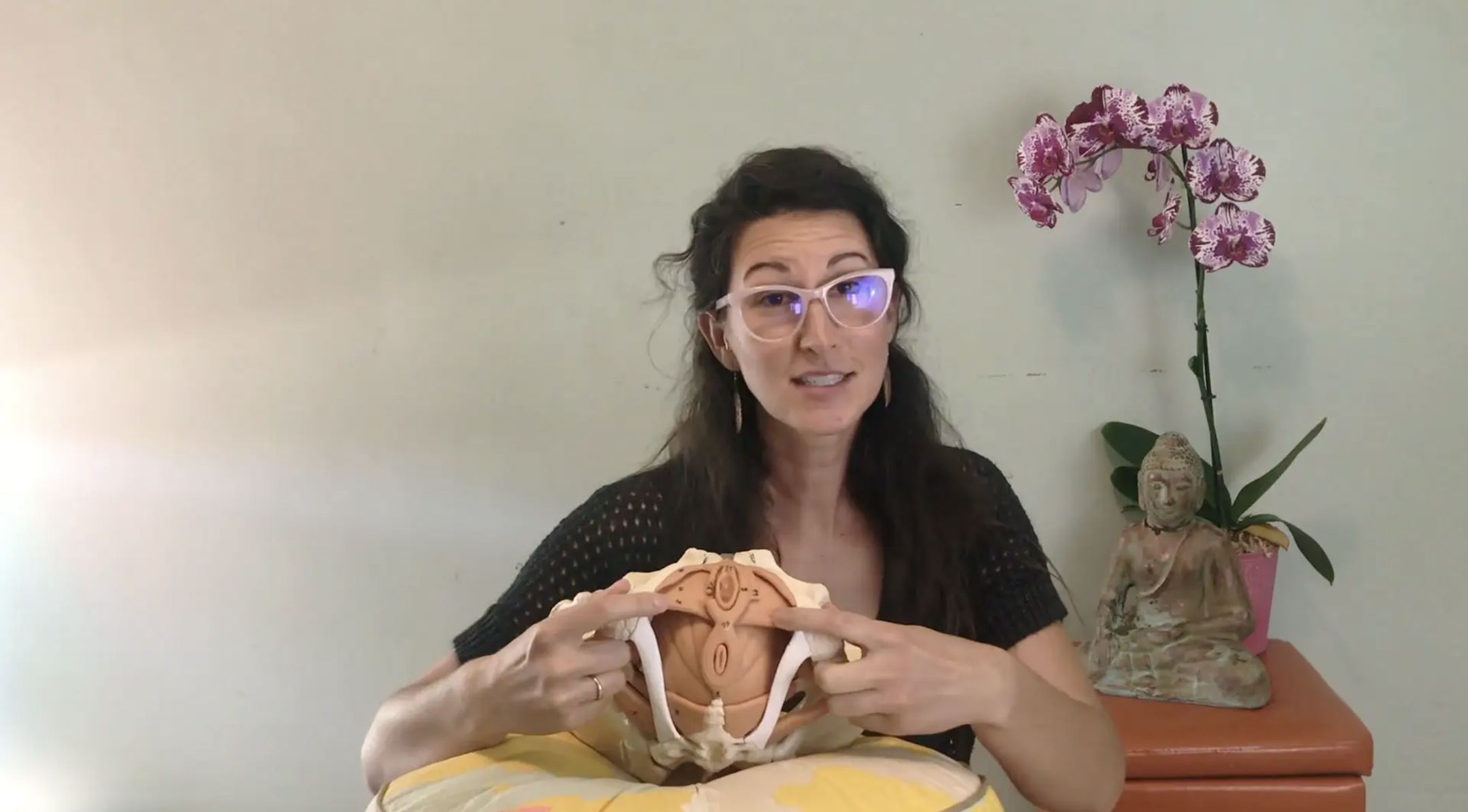 Oh Hello, Superficial Transverse Perineal Muscle! (Pt. 3)