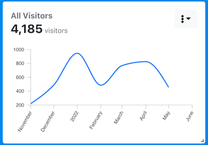 Track visitors in Webflow - Nocodelytics