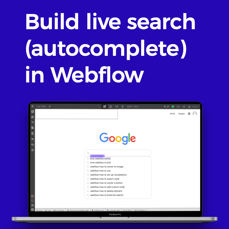 How to build live search (autocomplete) in Webflow - Nocodelytics