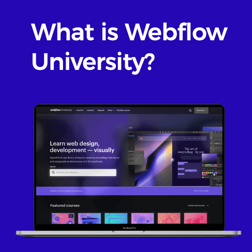 What is Webflow University and why should you use it? - Nocodelytics