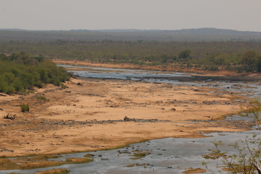 Râurile Europei seacă, perturbând schimburi comerciale în valoare de 80 ...