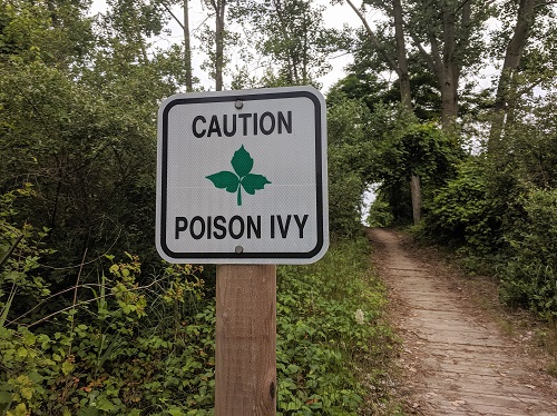 Protect Yourself from Poison Ivy When Hiking and Gardening