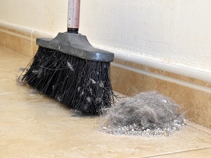 The Critical Role of Indoor Air Quality for Workplace Safety