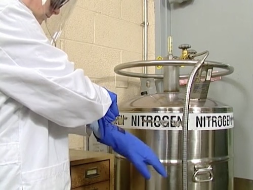 Handling Compressed Gas Cylinders in the Laboratory Safety Training Video