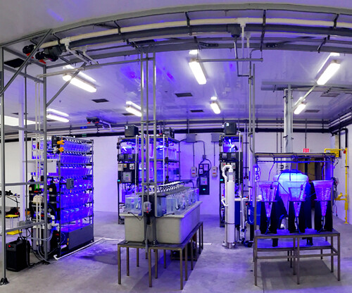 University Carbondale Aquatic Research Lab Project | IAS Inc.