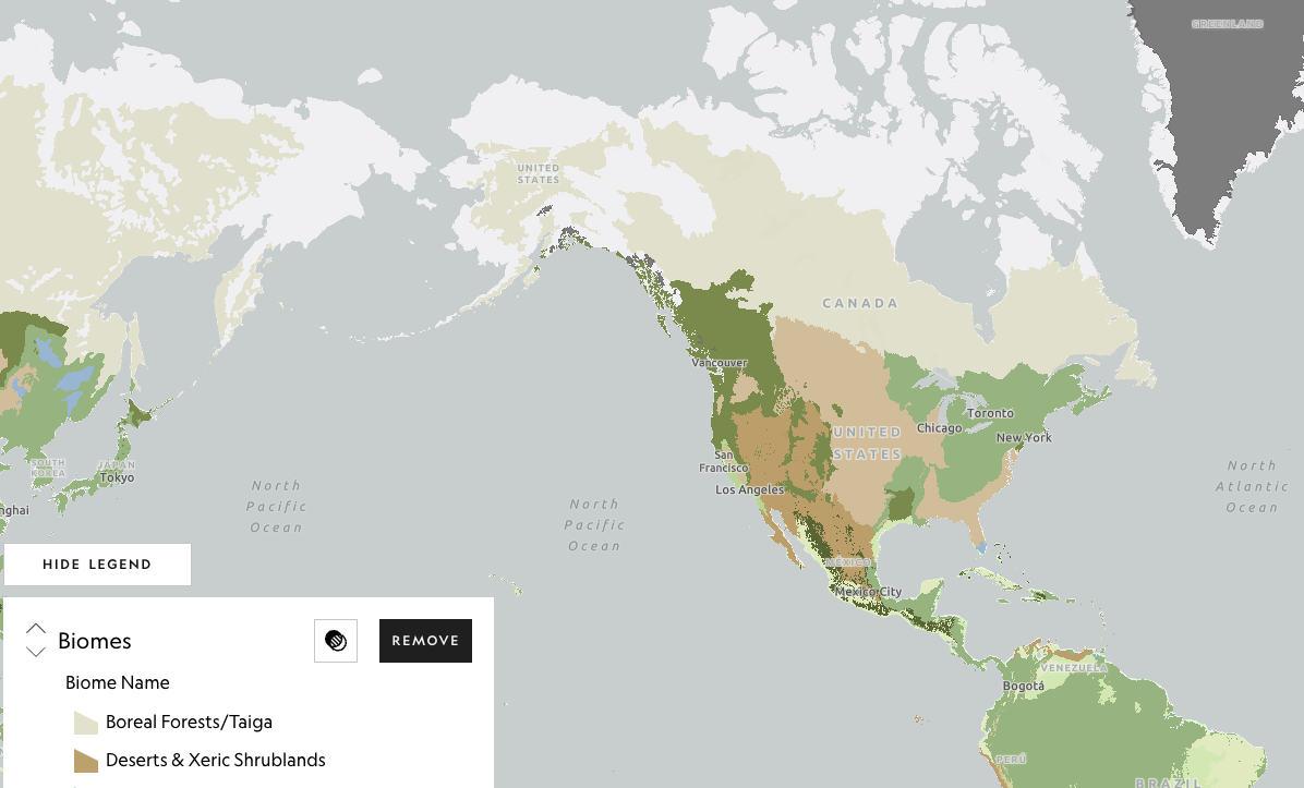 National Geographic Map Maker | Virtual Connections