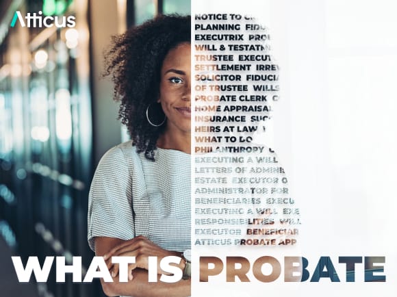 Variable Expense | The Executor's Glossary by Atticus®