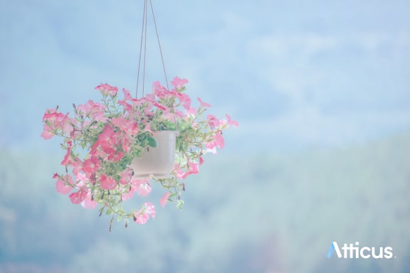 What To Do After Someone Dies 4 Phases Atticus Magazine