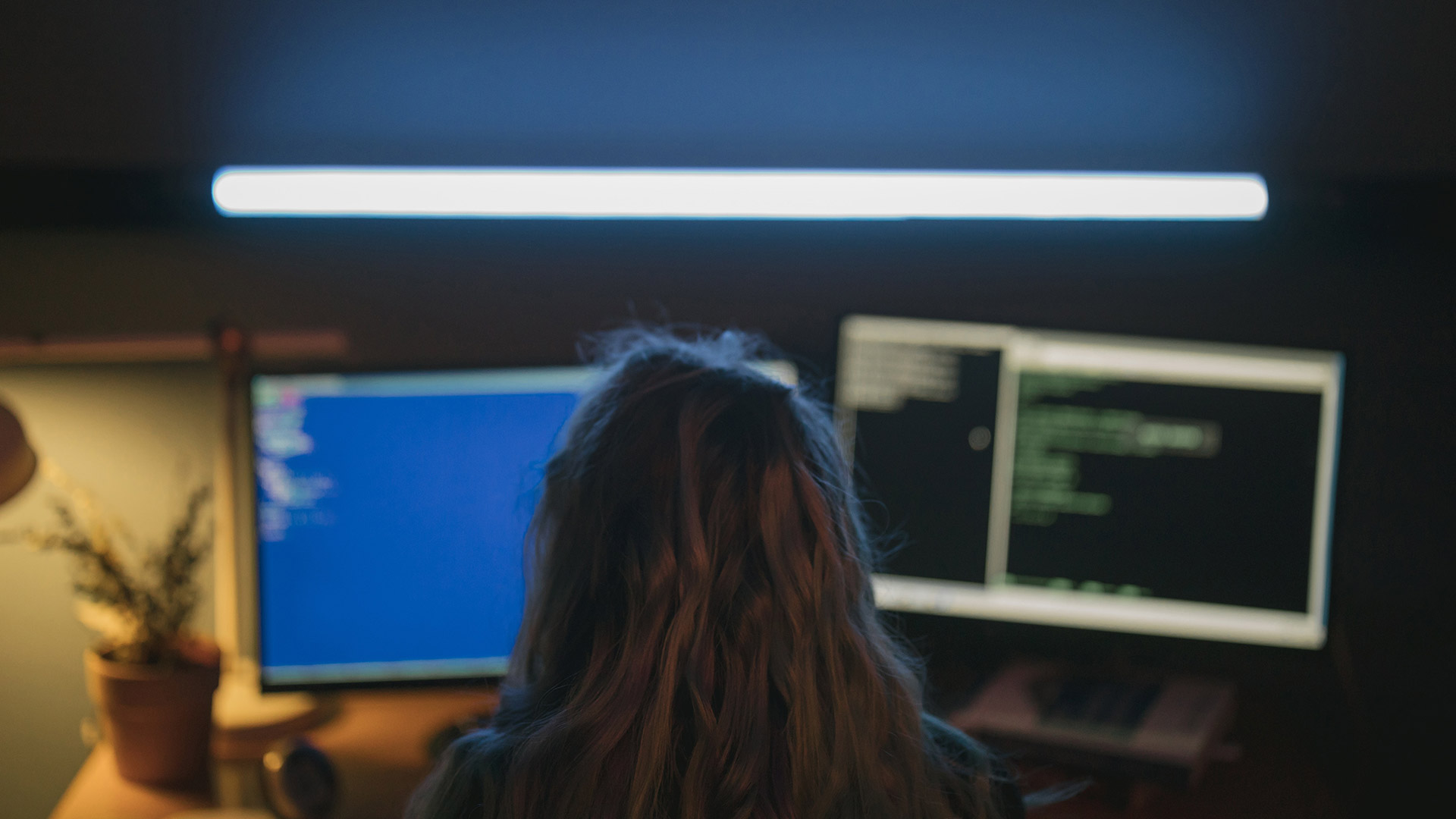 How to check for plagiarism in C, C++ or C# (C-sharp) source code | CodeGrade Blog