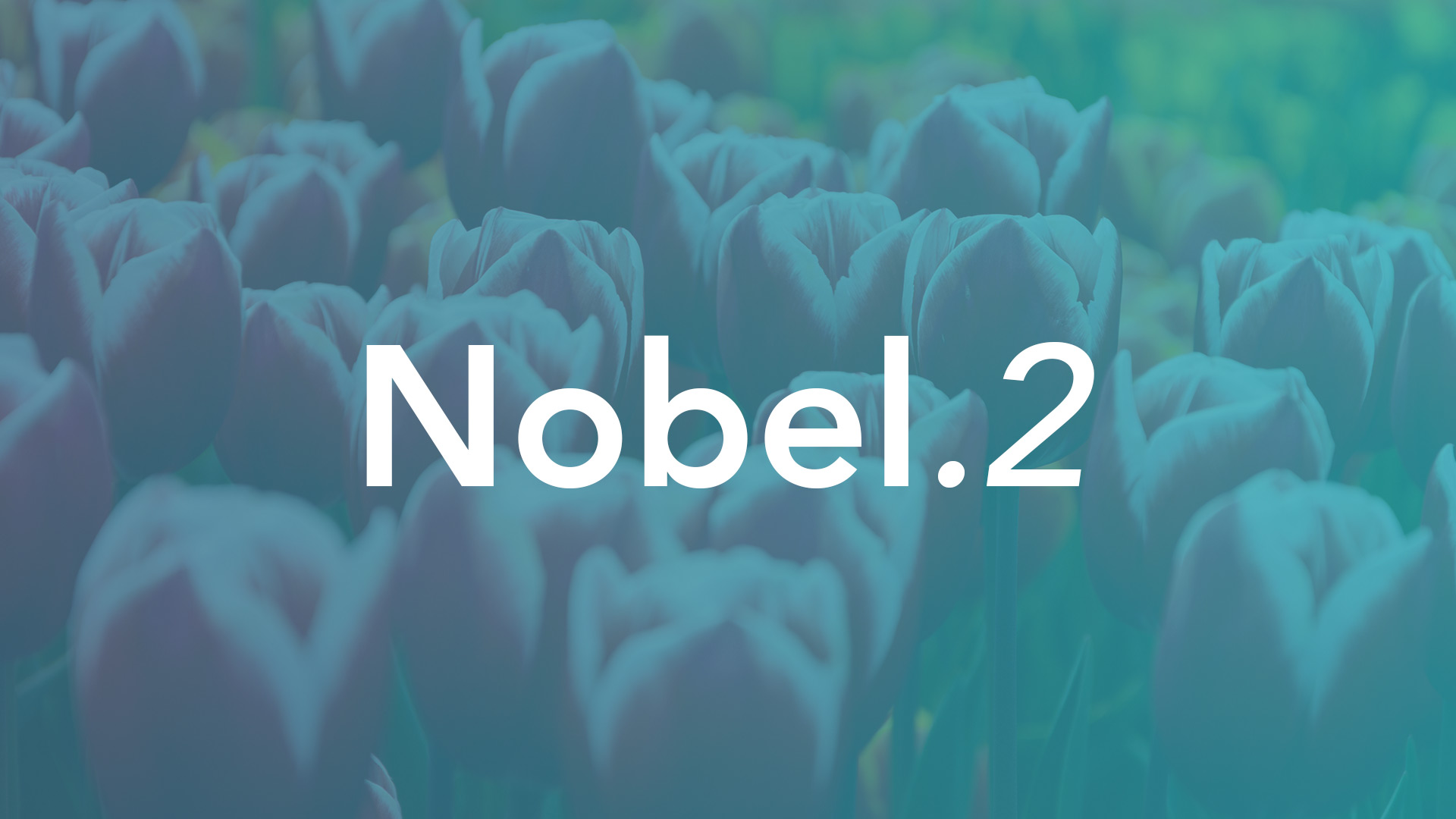 New release CodeGrade Nobel.2 | CodeGrade Blog