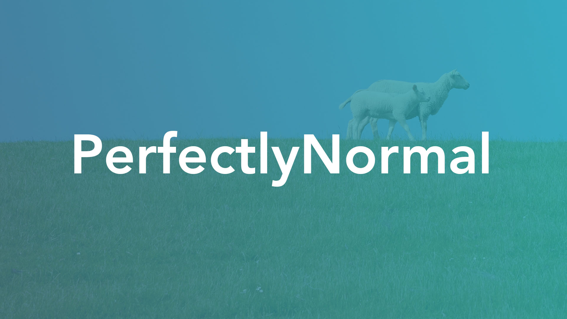 New release CodeGrade PerfectlyNormal | CodeGrade Blog