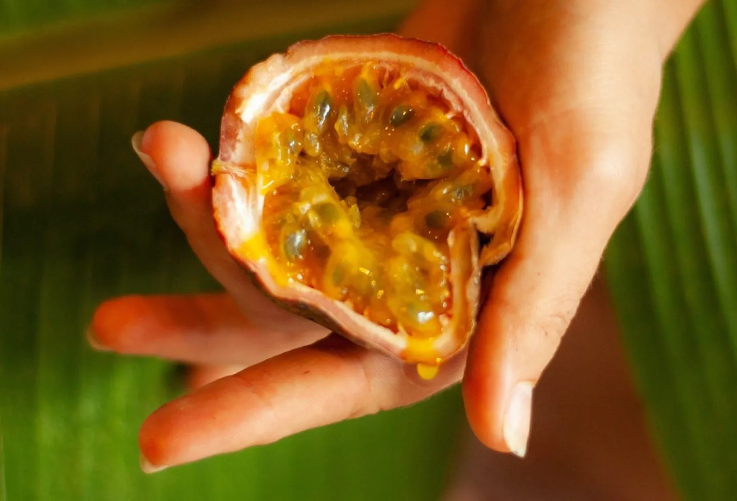 An Expert Guide to Vaginoplasty for Transgender Women