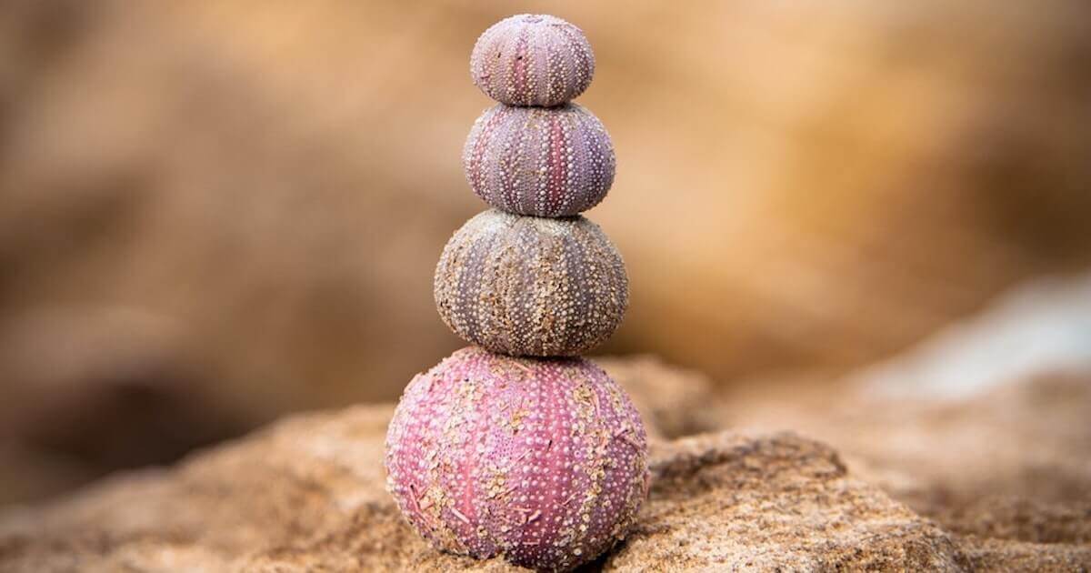 Splinting: A Trick to Relieve Constipation on the Toilet Immediately ...