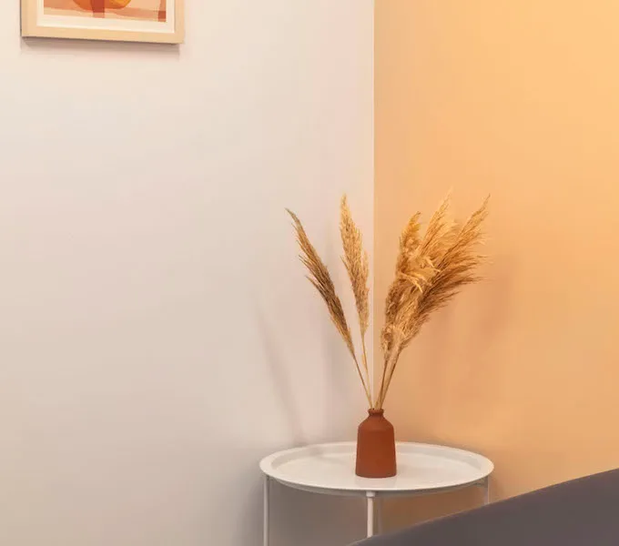 Virtual Pelvic Floor Physical Therapy in New Hampshire