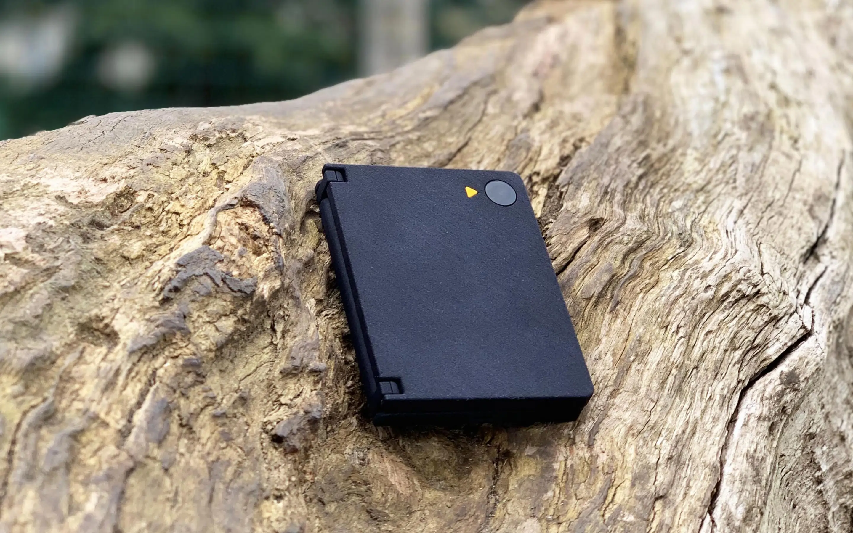 ASH - Ai Pocket Field Guide