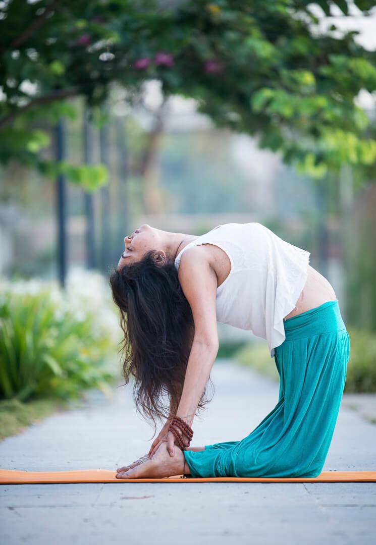 Case Studies | Creatively Squared