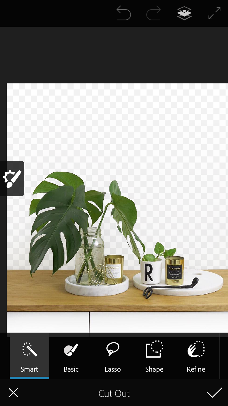 Changing the backdrop of your image with this easy smartphone edit