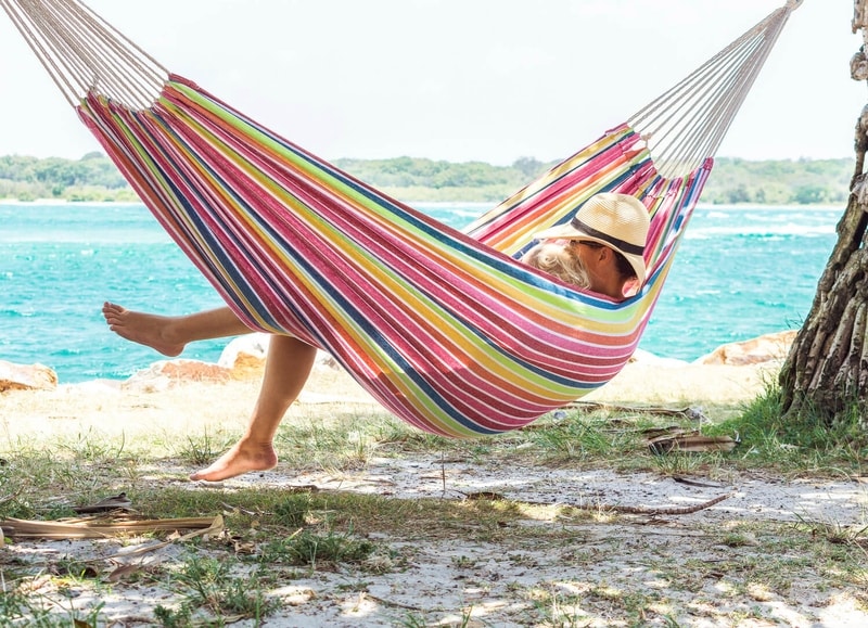 Sunlight to shadows: A beginners guide to natural light photography