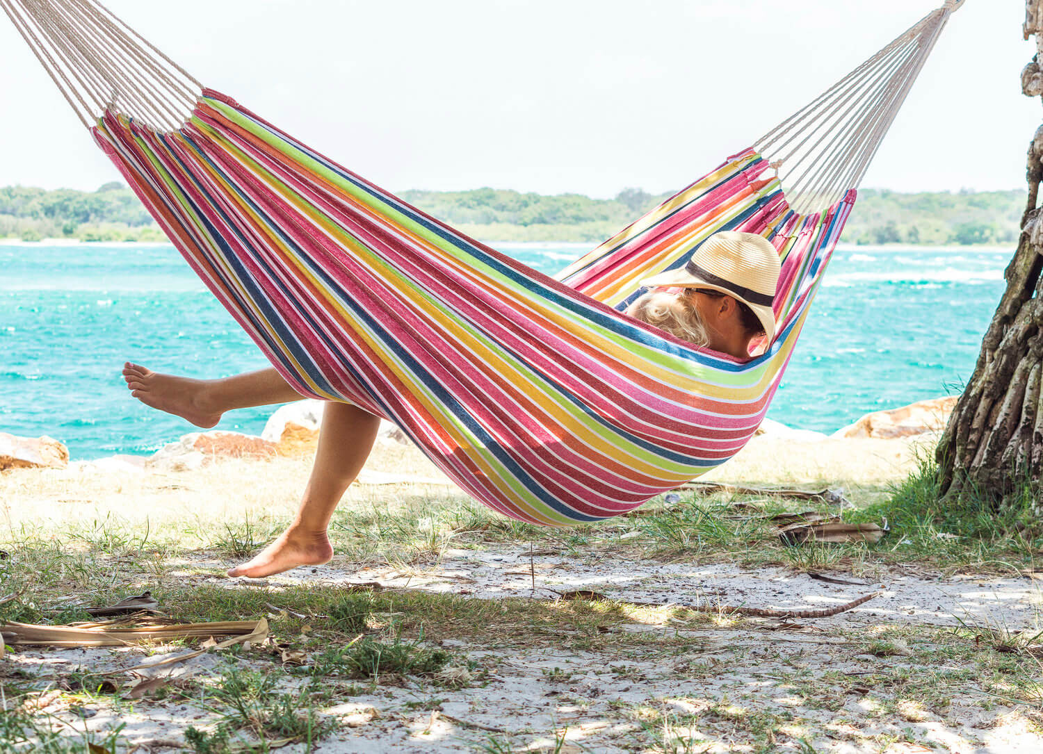 Sunlight to shadows: A beginners guide to natural light photography