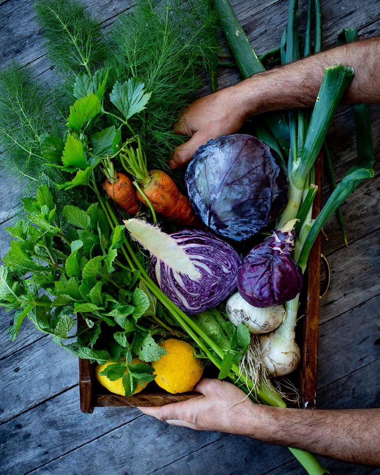 Top 12 moments to capture movement in your food photography