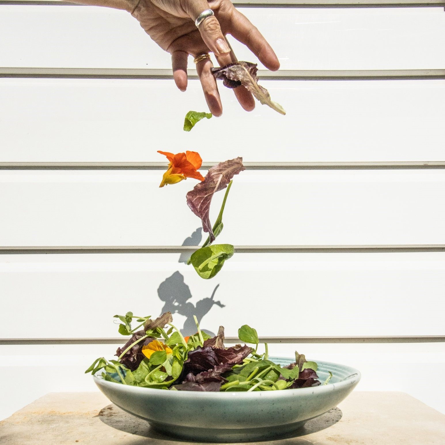 Carefree creative expression leads to a fusion of food artistry and ...