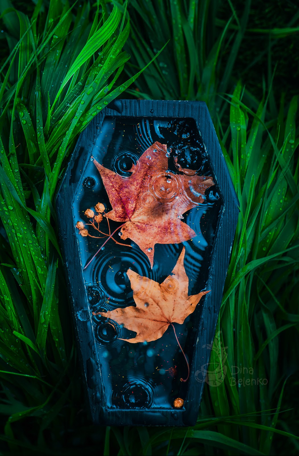 Inspiring Creator Series: Dina Belenko