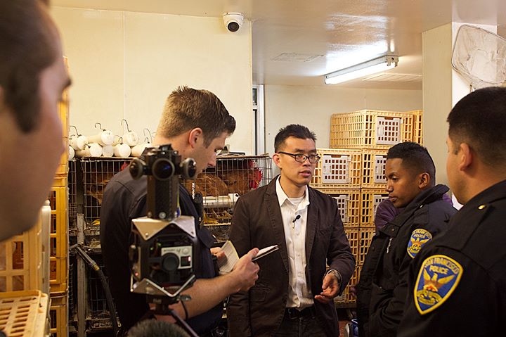 Animal Rights News Recap 6/2/2017