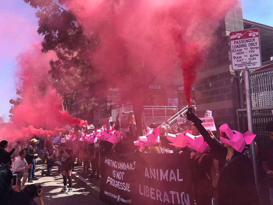 Animal Rights News Recap 8/4/2017