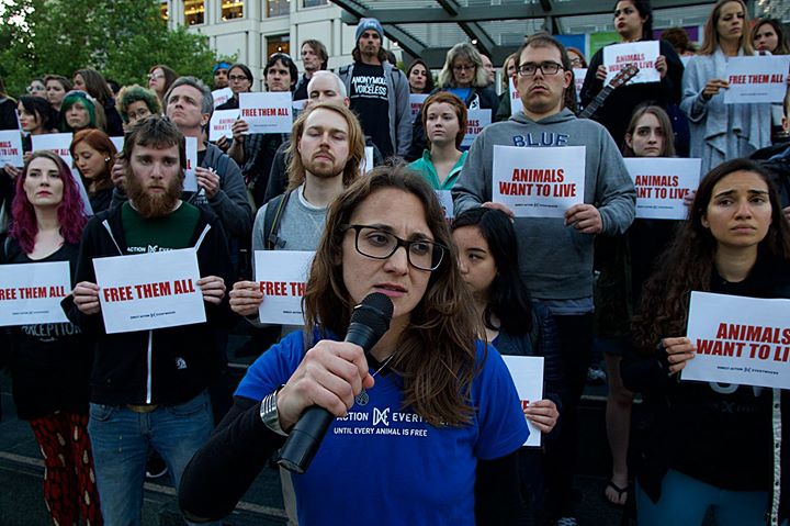 Animal Rights News Recap 6/2/2017