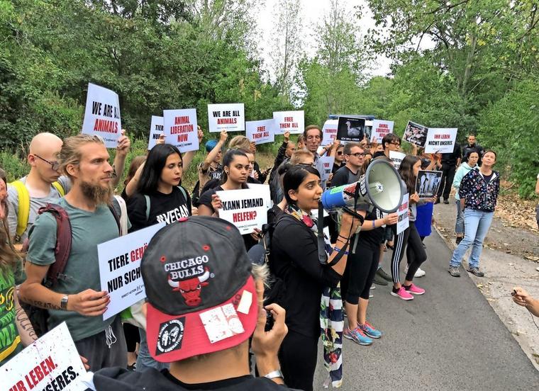 DxE News of the Week: DXE PROTESTS IN GERMANY, CANADA AND INDIA, August ...