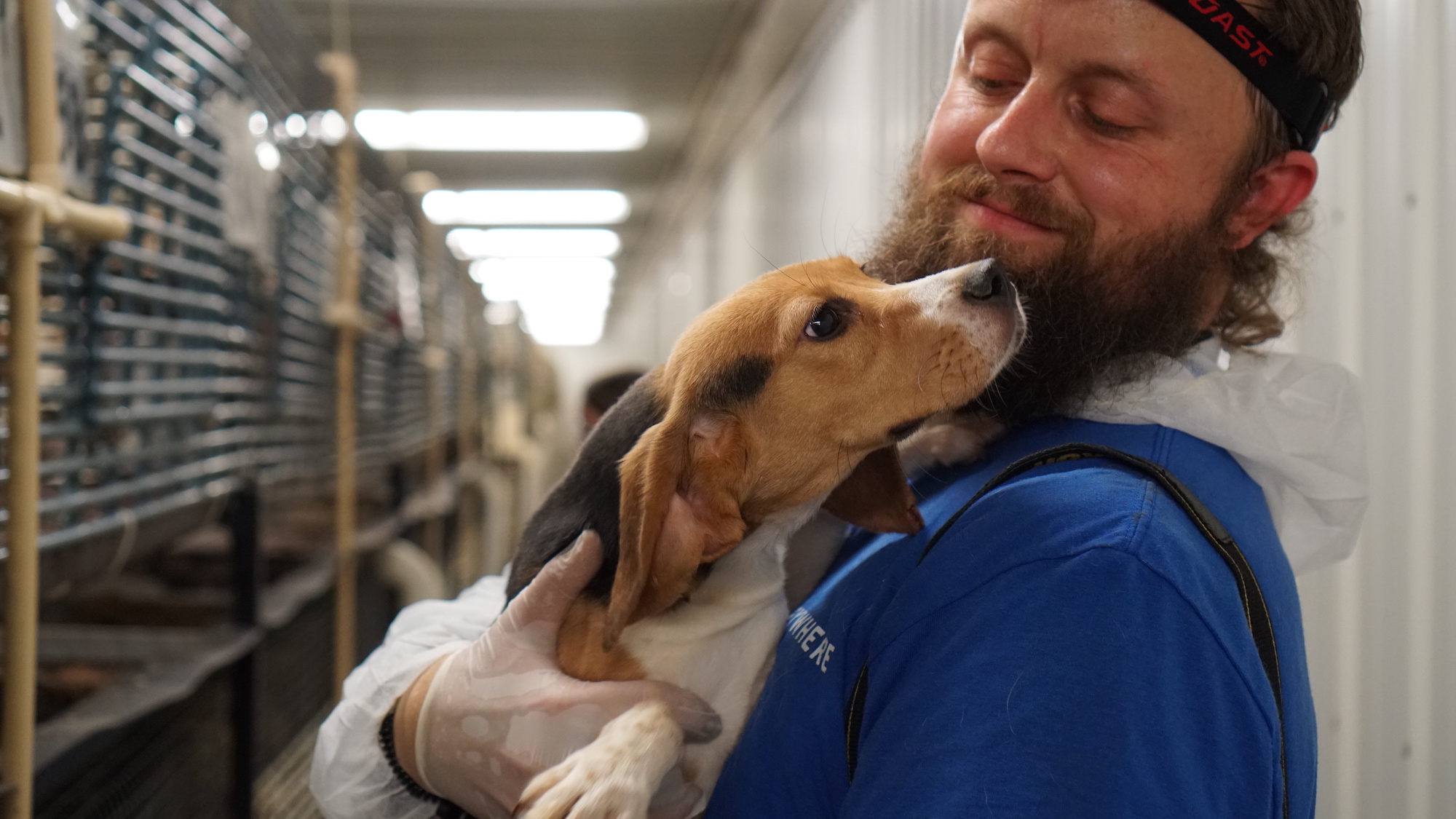 Direct Action Everywhere - Until every animal is free