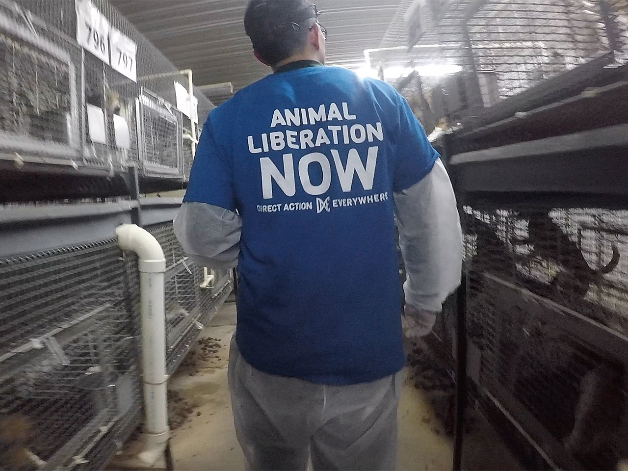 Ridglan Farms Beagle ‘Rescue’ Case Dismissed