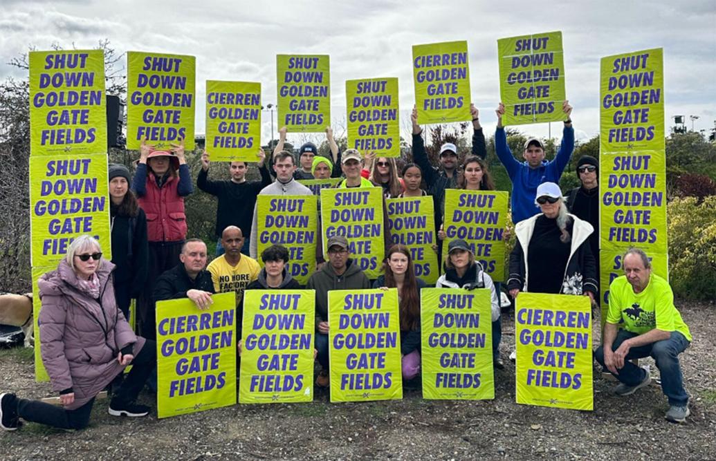 Direct Action Everywhere Protests Death of 3-Year-Old Filly, Moves for ...